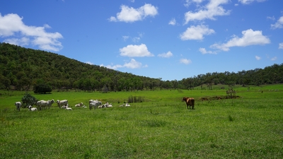 Explore Spring Valley Road, St Lawrence, QLD - 4707 - view.com.au