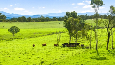 Explore Three Chain Road, Newry, VIC - 3859 - view.com.au