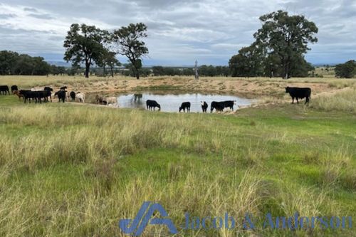 36 Real Estate Properties for Sale in Dunedoo, NSW 2844