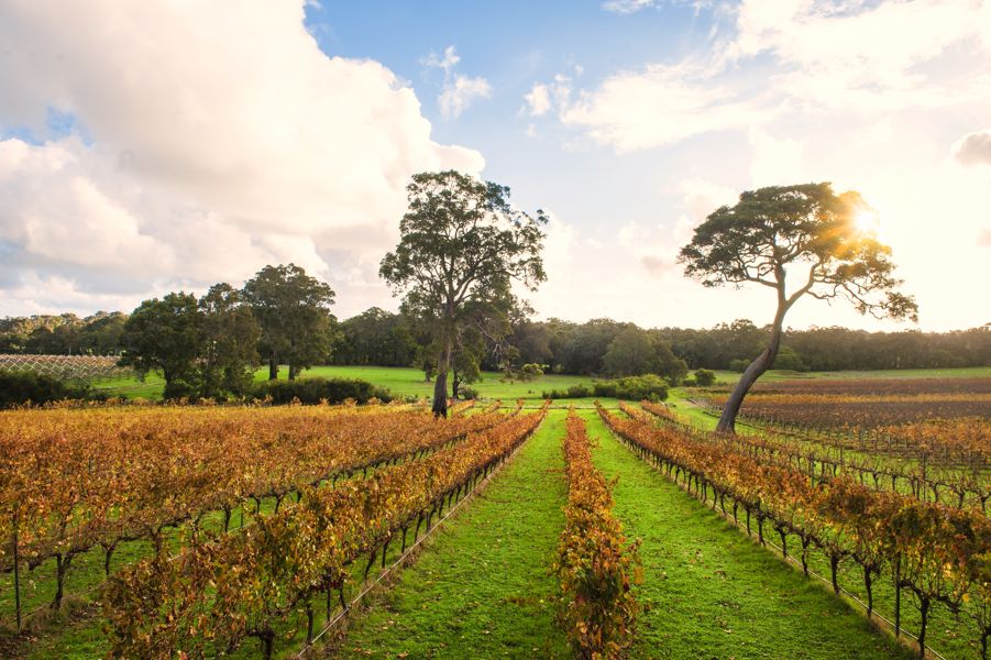 227 Fifty One Road, Cowaramup, WA 6284 for Sale | view.com.au