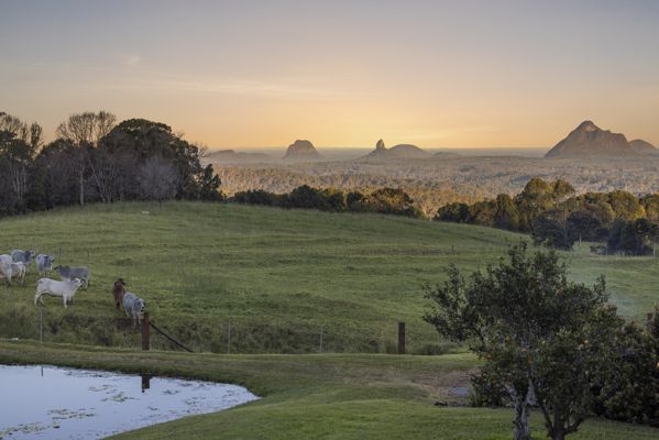 617 River Road, Wootha, QLD 4552 Property Details - view.com.au