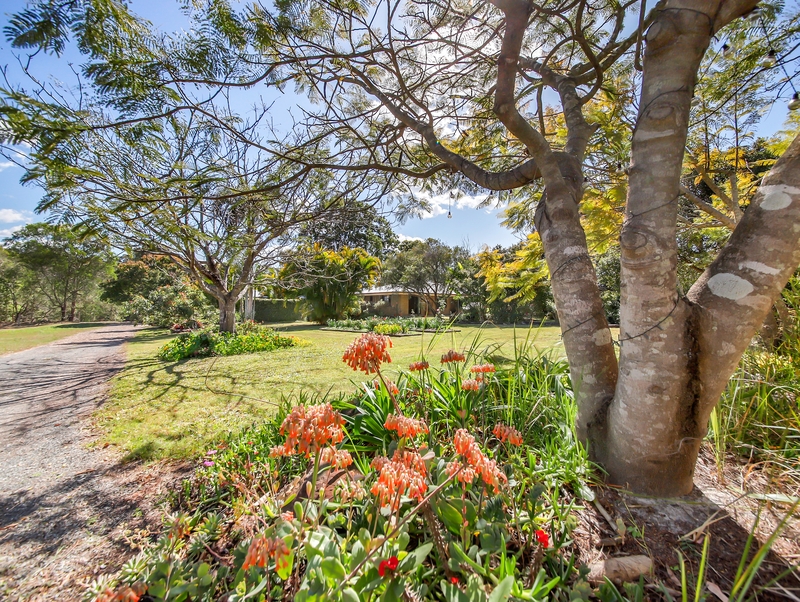 37 Timbrell Crescent, Tinana, QLD 4650 Property Details - view.com.au