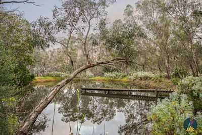 78 Thompson Road, Roleystone, WA 6111 Property Details - view.com.au