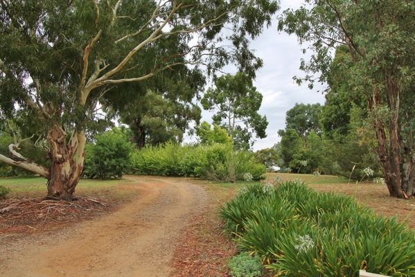 91 Back Creek Road, Young, NSW 2594 Property Details - view.com.au