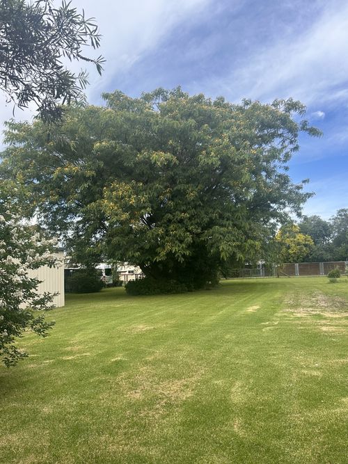 21 Real Estate Properties for Sale in Allora, QLD 4362