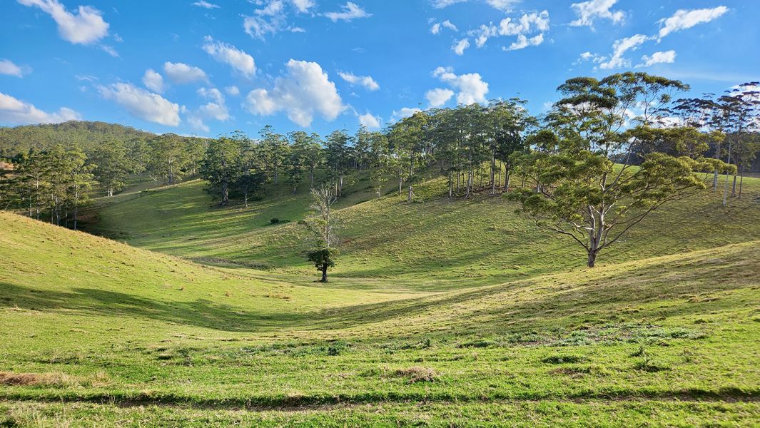 539-605 Bellthorpe West Road, Bellthorpe, QLD 4514 for Sale | view.com.au