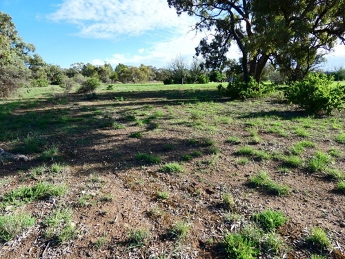 42 Real Estate Properties for Sale in Rainbow, VIC 3424