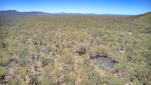 479 Davies Road, Captain Creek, QLD 4677 for Sale | view.com.au