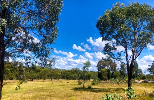 33 Real Estate Properties for Sale in Dunedoo, NSW 2844