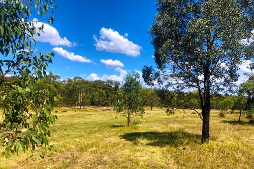 33 Real Estate Properties for Sale in Dunedoo, NSW 2844