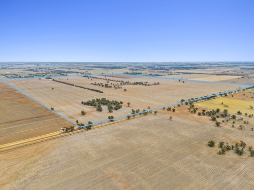 135 Real Estate Properties for Sale in Finley, NSW 2713
