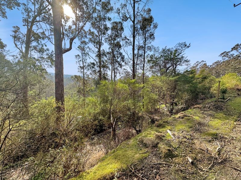 810 Lottah Road, Lottah, TAS 7216 for Sale | view.com.au