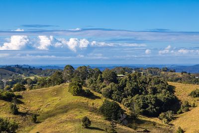 Sold 6 Falcon Court, Mapleton, QLD 4560 for $308,158 on 18 Nov, 2024