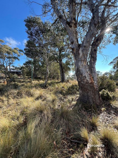 25 Real Estate Properties for Sale in Miena, TAS 7030