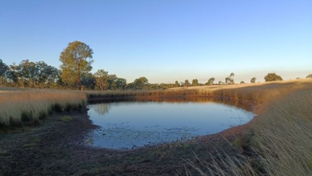 98 Ferry Road, Rosedale, QLD 4674 for Sale | view.com.au