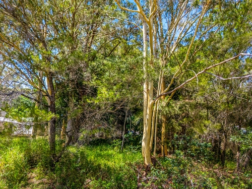 506 Real Estate Properties for Sale in North Stradbroke Island, QLD 4183