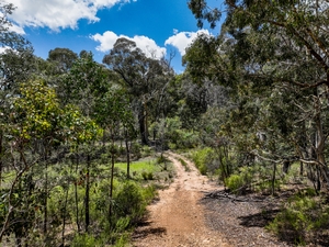 Sold 1474 Bald Ridge Road, Bald Ridge, NSW 2795 for $270,000 on 16 May ...