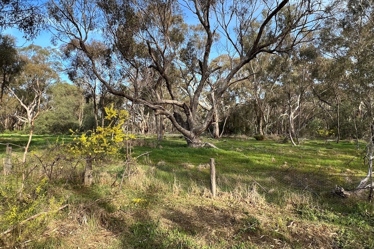511 Prairie West Road, Calivil, VIC 3573 for Sale | view.com.au