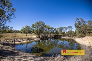 1613 Spring Ridge Road, Dunedoo, NSW 2844 for Sale | view.com.au