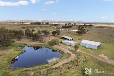 42 Real Estate Properties for Sale in Dunedoo, NSW 2844