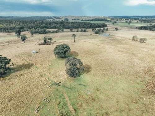 42 Real Estate Properties for Sale in Dunedoo, NSW 2844