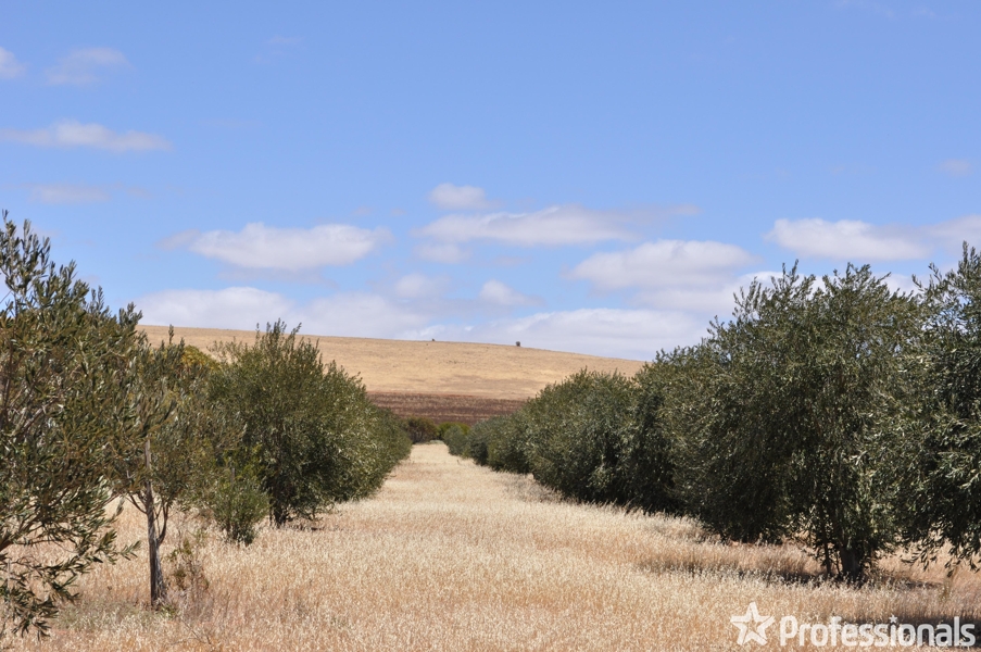 Sold Section 426 Worlds End Highway, Eudunda, SA 5374 for $310,000 on ...