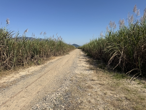 23 Real Estate Properties for Sale in Feluga, QLD 4854