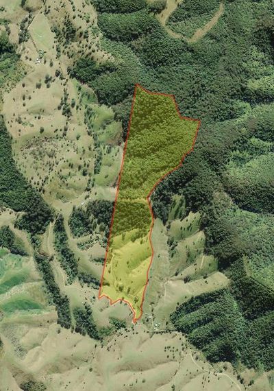 Lot 110 Tipperary Road Tipperary Via, Gloucester, NSW 2422 for Sale ...