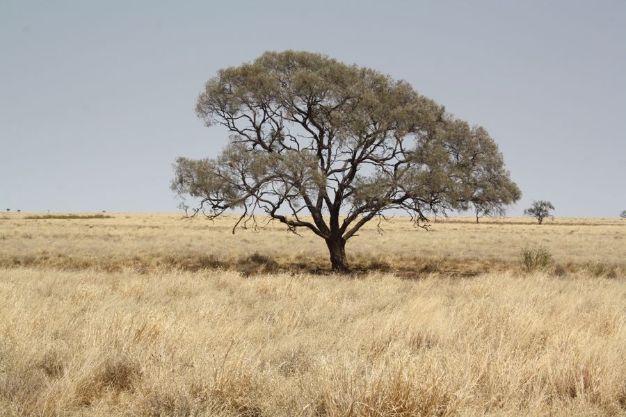 5001 Ilfracombe Aramac Road, Ilfracombe, QLD 4727 for Sale | view.com.au