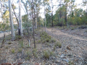 Sold Lot 2 Jandowae Connection Road, Jandowae, QLD 4410 for Contact ...