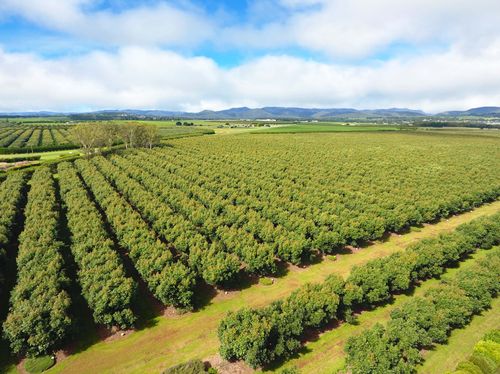 16 Rural Properties for Sale in Atherton, QLD 4883