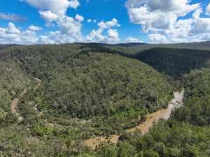 Paddys Flat Road, Upper Tooloom, NSW 2475 for Sale | view.com.au