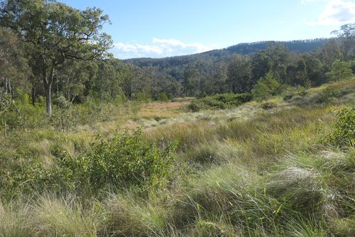 Rural Properties for Sale Under $500k in NSW - view.com.au