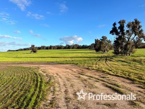 7 Real Estate Properties for Sale in Wagin, WA 6315