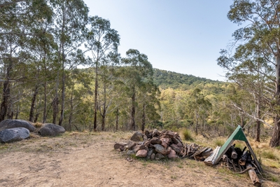 153 Blue Bush Road, Wyanbene, NSW 2622 for Sale | view.com.au