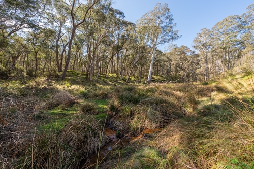 Rural Properties for Sale Under $500k in NSW - view.com.au