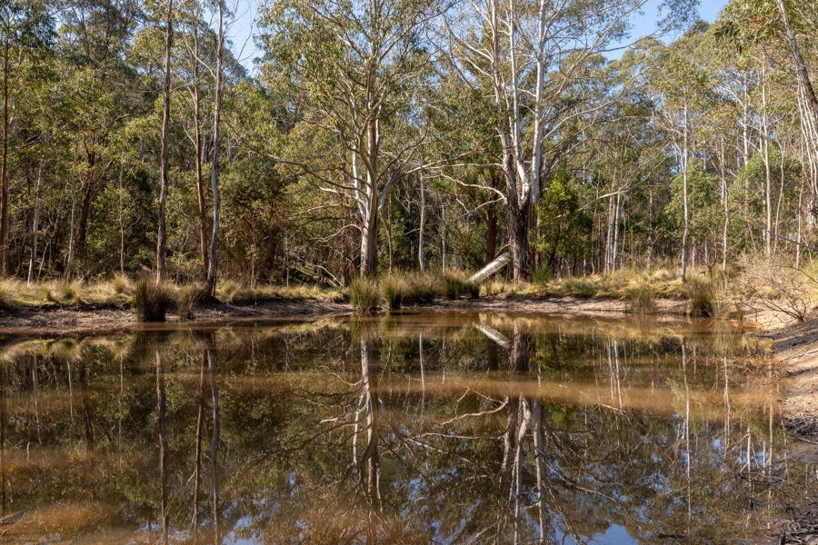 153 Blue Bush Road, Wyanbene, NSW 2622 for Sale | view.com.au